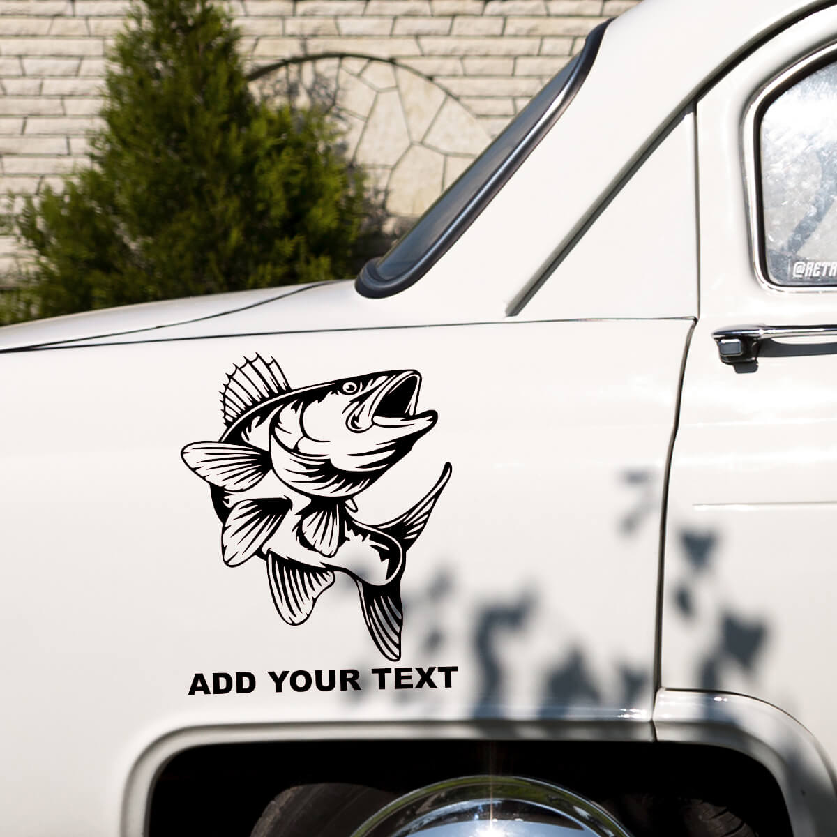 Zander Fisch Aufkleber - Gogashop